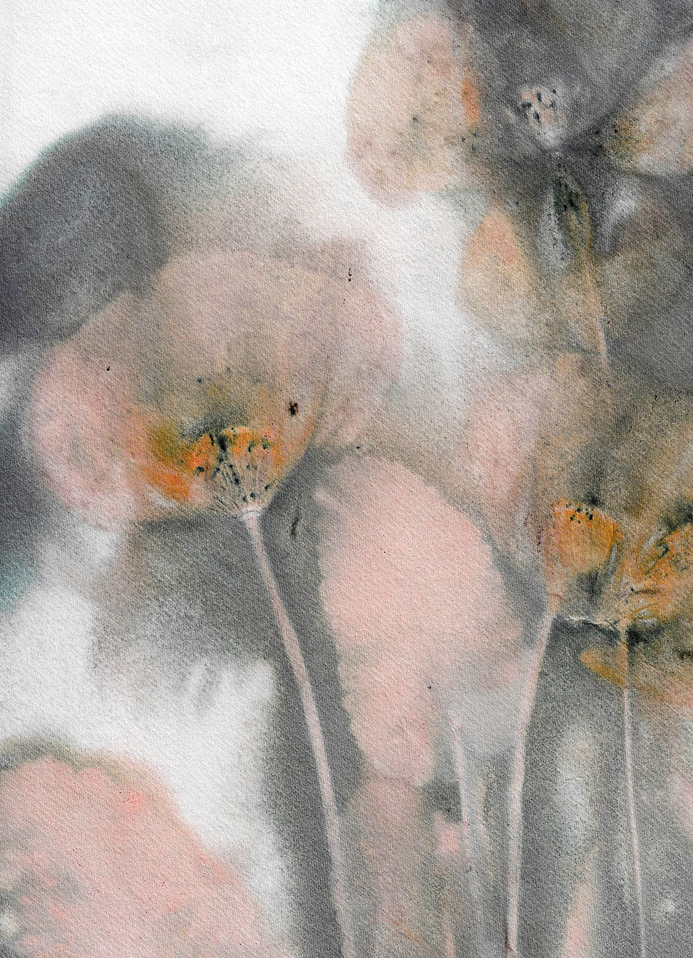 Poppy Salmon/Grey – pernille-folcarelli-shop