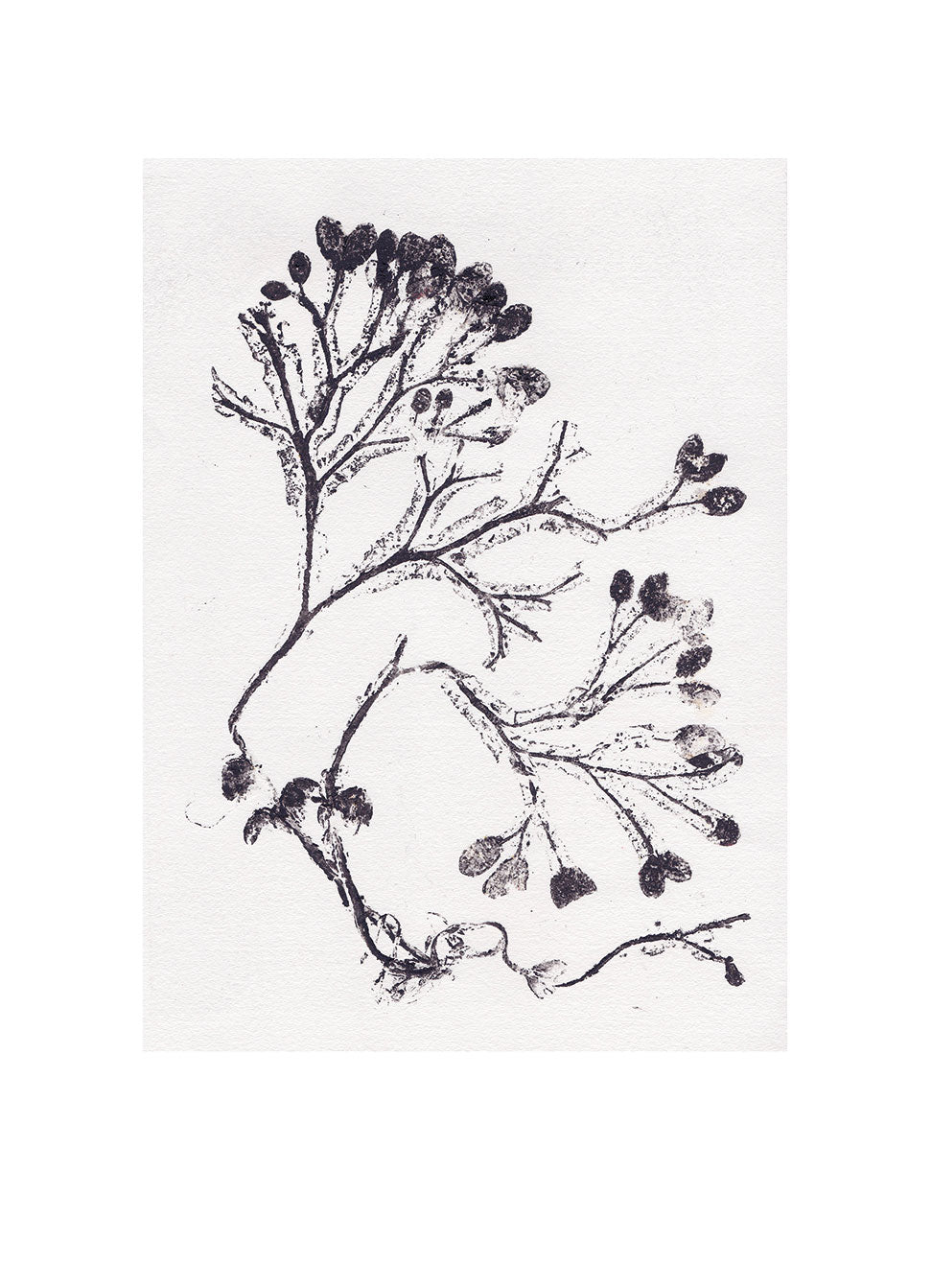 Seaweed Grey – pernille-folcarelli-shop